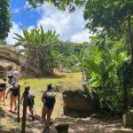 El Yunque Waterslide and Waterfall Tour with Food and Photos - What Travelers Love and What to Watch Out For