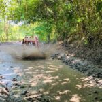 Escape to Buggies Adventure and Puerto Plata City Tour with Lunch - Starting with the Adventure: Buggies Through Scenic Trails