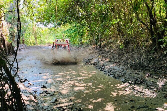 Escape to Buggies Adventure and Puerto Plata City Tour with Lunch - Starting with the Adventure: Buggies Through Scenic Trails