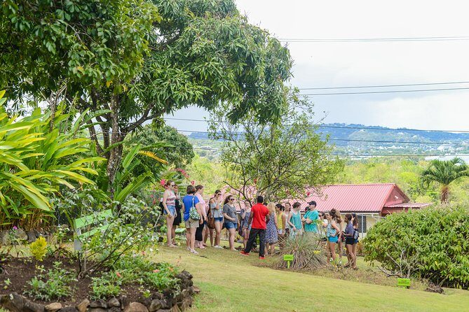 Essence of St Lucia Heritage Experience - Detailed Breakdown of the Tour Stops
