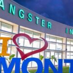 Excellence Oyster Bay Private Transfer - The Itinerary: What to Expect