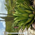 Exclusive 4 -Hour Private nature Tour: West Curacao's Best - Why This Tour Works for Travelers