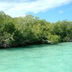 Exclusive Adventure in Saona: Small Group - The Itinerary in Detail: What to Expect