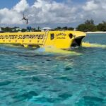 Exclusive Cayman Underwater Adventure: Yellow Submarine Cayman - Who Will Love This Tour?