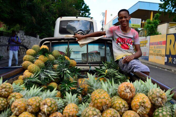 Exclusive Punta Cana Private City Tour - Practical Details and Logistics