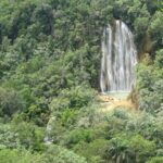 Excursion to Samana El Limón Waterfall and Bacardi Island - A Closer Look at the Itinerary