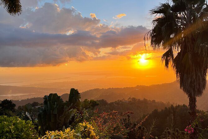 Exotic Blue Mountain Coffee Tour - Optional Stops and Cultural Highlights