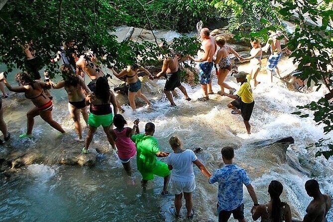 Exotic Catamaran Party Cruise and Snorkeling to Dunns River Falls - Authentic Experiences & Traveler Insights