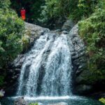 Exotic Full-Day Blue Mountain Bicycle Adventure - The First Taste: Brunch at 2,600 Feet