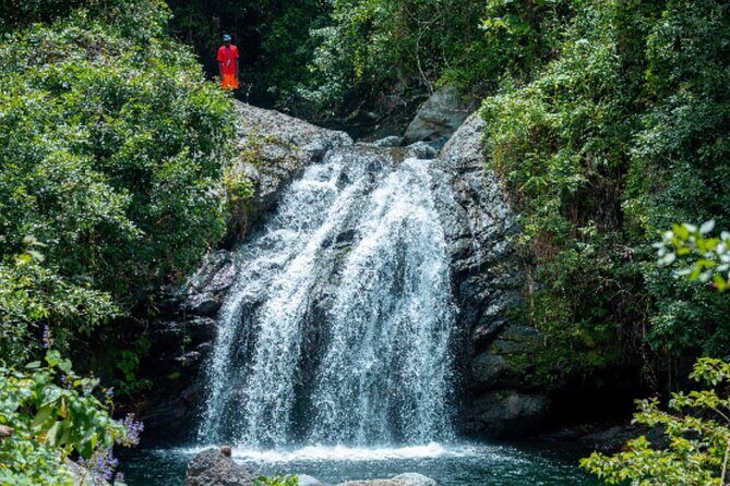 Exotic Full-Day Blue Mountain Bicycle Adventure - The First Taste: Brunch at 2,600 Feet