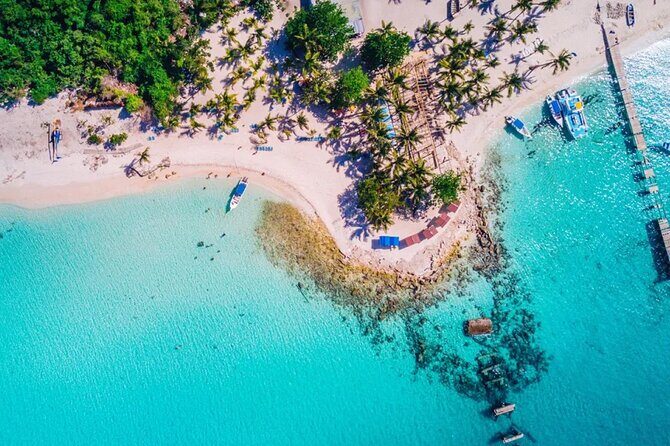 Experience Full Day Tour of Tropical Bliss at Isla Saona - Real Traveler Insights