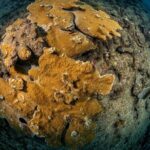 Experience Scuba - The Meeting Point and Logistics