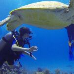 Experience Scuba Diving / NO certification Needed - Practical Tips for Your Rincón Scuba Experience
