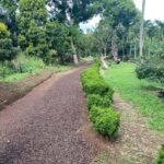 Experience the natural beauty and culture half day tour - The Value of This Tour