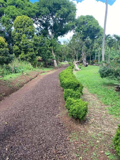 Experience the natural beauty and culture half day tour - The Value of This Tour