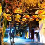 Experience the Nightlife: Puerto Plata + Sosua + Cabarete - What Makes This Tour Stand Out