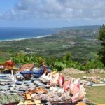 Explore and Discover Barbados By Land & By Sea - Who Should Consider This Tour?