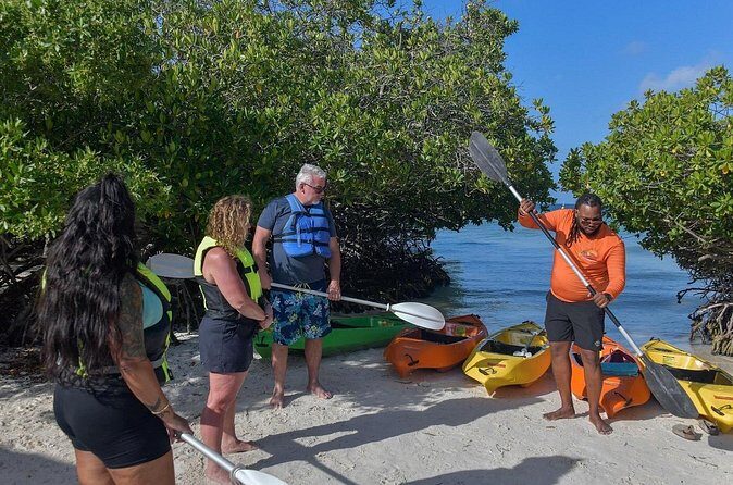 Explore Aruba Coastline with Kayaking Tour - Who Should Consider This Tour?