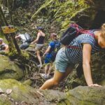 Explore Authentic Guadeloupe with a Local Multilingual Guide - What Makes This Tour Stand Out?