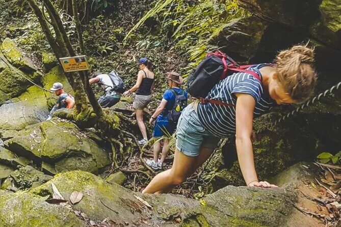 Explore Authentic Guadeloupe with a Local Multilingual Guide - What Makes This Tour Stand Out?