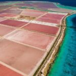 Explore Bonaire: North & South Tour - Transportation and Timing: What to Expect