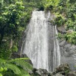 Explore El Yunque National Forest Guided Nature Adventure - Food, Fees, and Additional Details