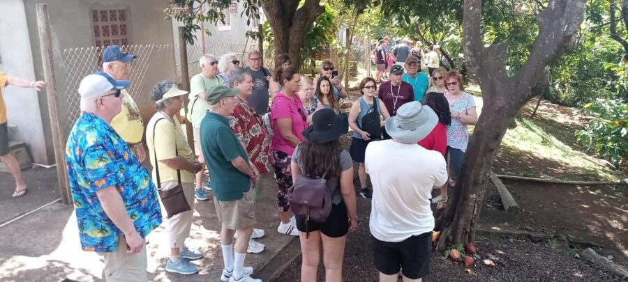 Explore Grenada's Magic: Private Spice Island Tour - Practical Details and What to Expect