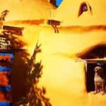 Explore Indigenous Roots, Experience a day in the life of a Taíno - FAQ