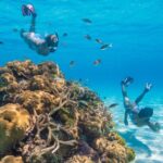 Explore Nassau's Best Spots with Snorkeling Tour - The Value of a 2-Hour Guided Snorkeling Adventure