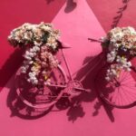 Explore Puerto Plata. City Tour - What Makes This Tour Stand Out?