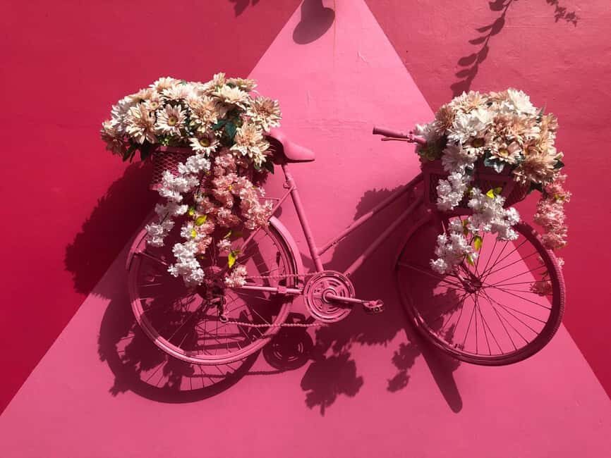 Explore Puerto Plata. City Tour - What Makes This Tour Stand Out?