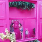 Explore Puerto Plata with Local Guide and Vehicle at Your Service - Who Will Benefit Most?