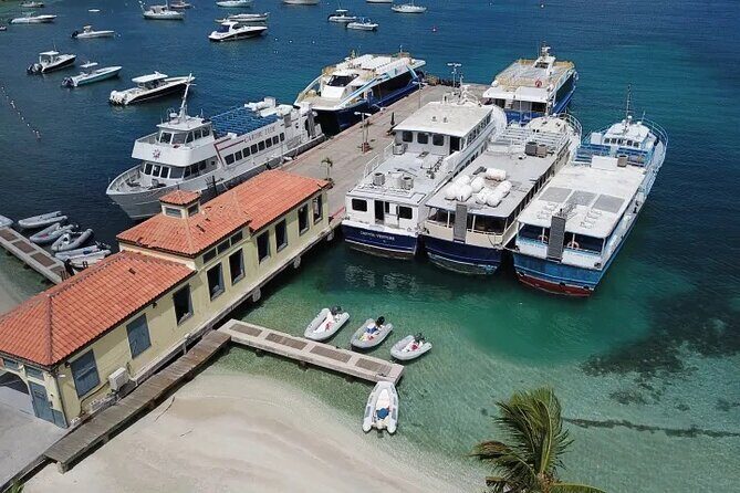 Explore St. John Private Full Day Island Tour - Who Should Consider This Tour?