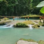 Explore the Beauty of Montego Bay Nature Tour in Jamaica - Why Choose This Tour?
