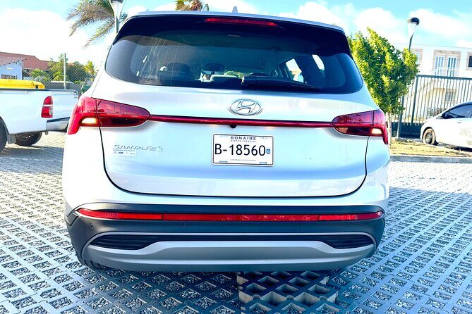 Explore the North & South of Bonaire on your own pase (Private) - Detailed Itinerary & Highlights