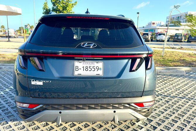 Explore the North & South of Bonaire on your own pase (Private) - Real Traveler Feedback