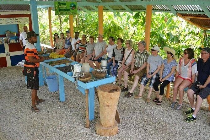 Extreme Buggy Adventure from Punta Cana - Transportation, Timing, and Overall Value