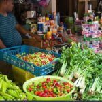 Extreme Fun in Safari Punta Cana Medio Dia - The Itinerary in Detail