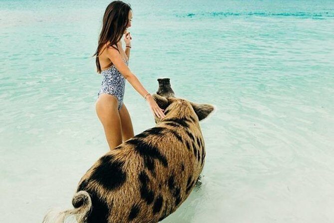 Exuma Elite Escape: Luxury Fly-In Pig Beach Adventure - 7 Stops - Transportation and Group Size