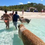 Exuma Full Day Swimming Pigs Group Boat Tour - The Experience and What It Means for the Traveler
