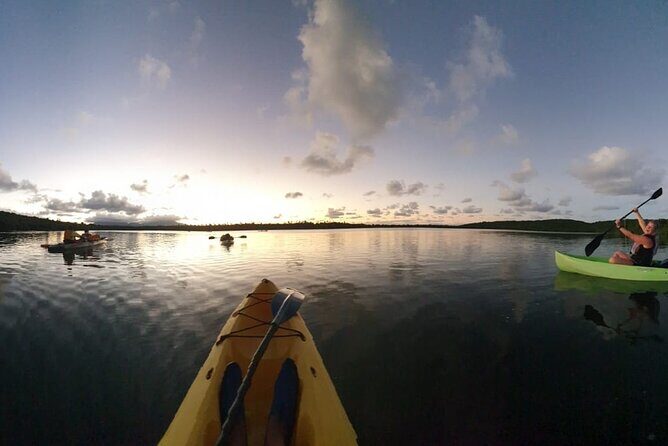 Fajardo Bioluminescent Bay Night Kayak Adventure from San Juan - Final Thoughts