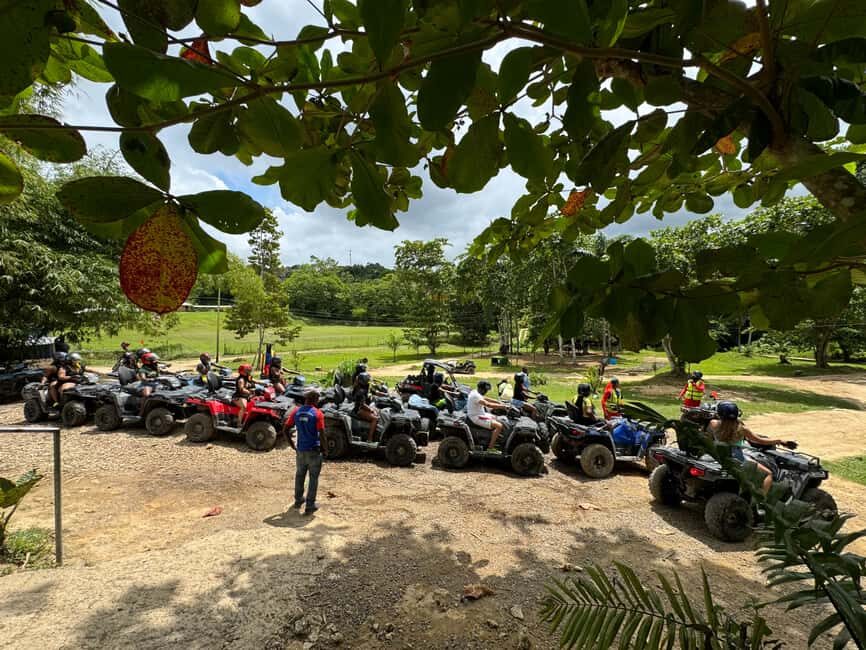 Falmouth: Blue Hole and Secret Falls Tour with ATV Ride - Guided Tour at Blue Adventure Tours