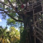 Falmouth: Dunn's River Falls, Blue Hole, and Zipline Tour - Detailed Itinerary and What to Expect