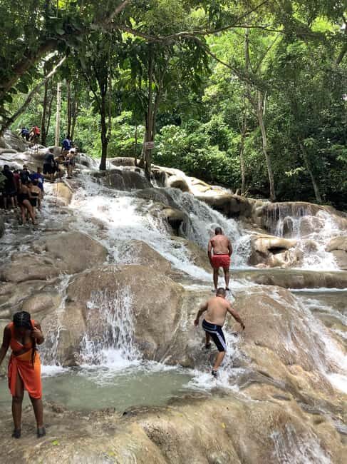 Falmouth: Dunn's River Falls Tour With Blue Hole - Who Will Love This Tour?