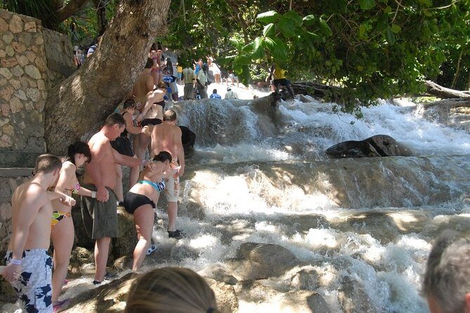 Falmouth Shore Excursion: Dunns River Falls and River Tubing Tour - Analyzing the Value