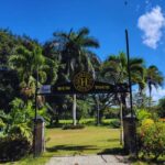 Falmouth Tour: Hampden Estate Rum Tasting Tour - Practical Tips for Visitors