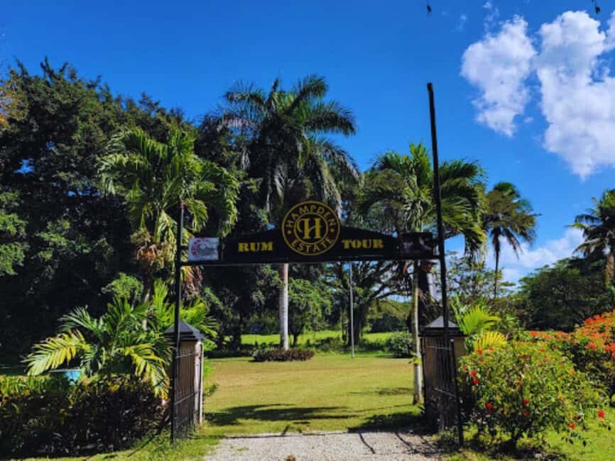 Falmouth Tour: Hampden Estate Rum Tasting Tour - Practical Tips for Visitors