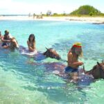 Falmouth Tour: Horseback Riding & Green Grotto Caves - Practical Details and Logistics