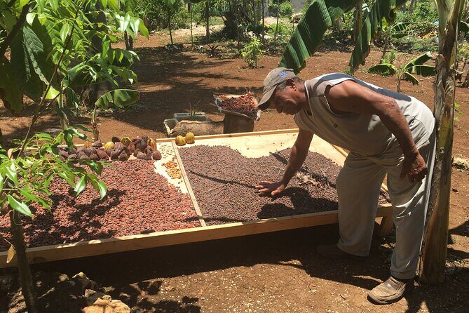 Family, Buggy Adventures, Tours, Macao Beach. Lowest Price. - The Vehicles and Comfort Level