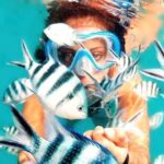 Family Fun-Snorkeling with Lunch Stop from Montego Bay - The Sum Up